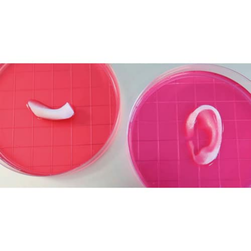 INKREDIBLE 3D BIOPRINTER - Cellgenic